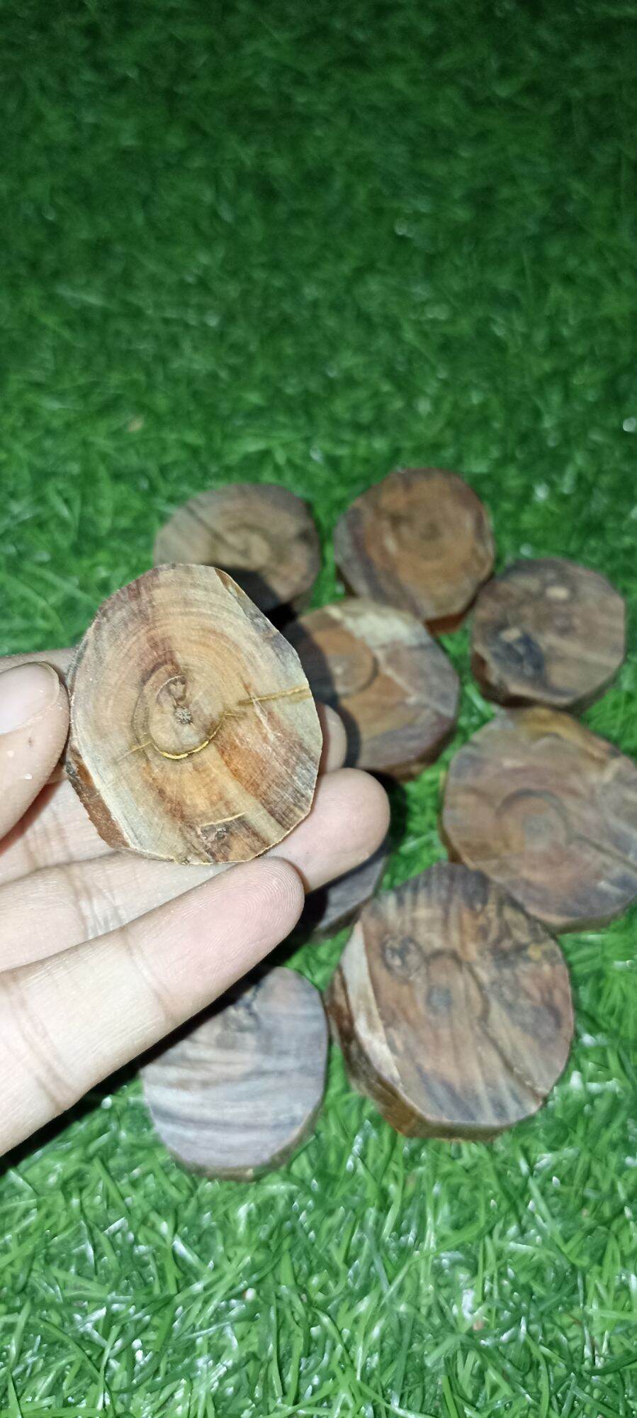 raja kayu damar minyak(tembus cahaya) | Lazada