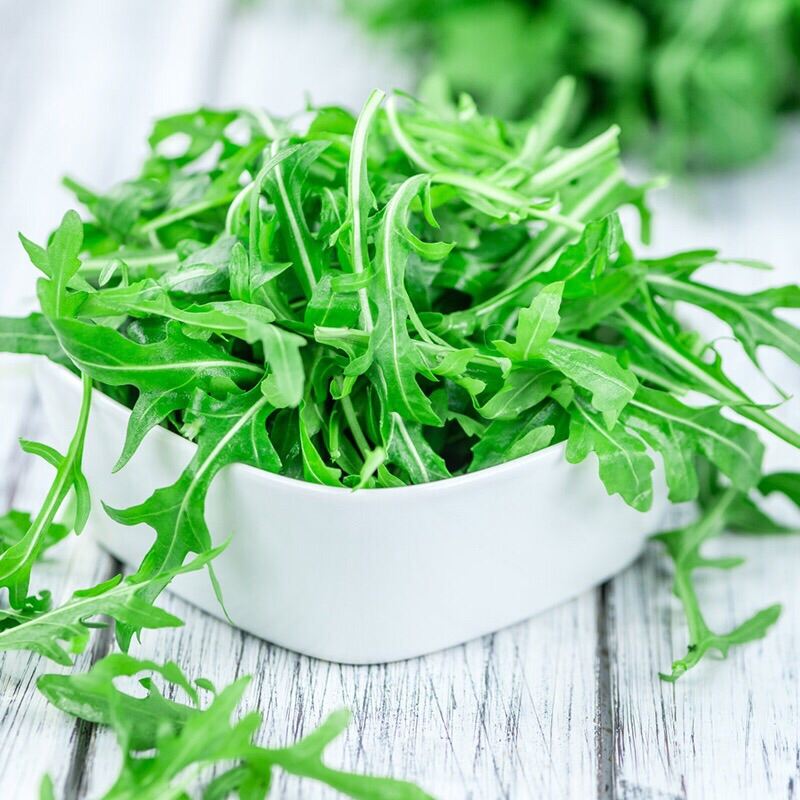 Rocket vegetable 20 seeds 芝麻菜 火箭菜 种子 20粒 味道香苦辣 Taste Bitter Spicy | Lazada