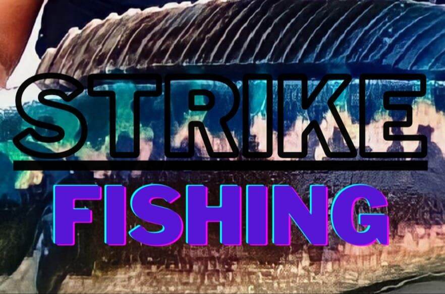 Strike Fishing MY Official Store in Malaysia, Online Shop 05 2025