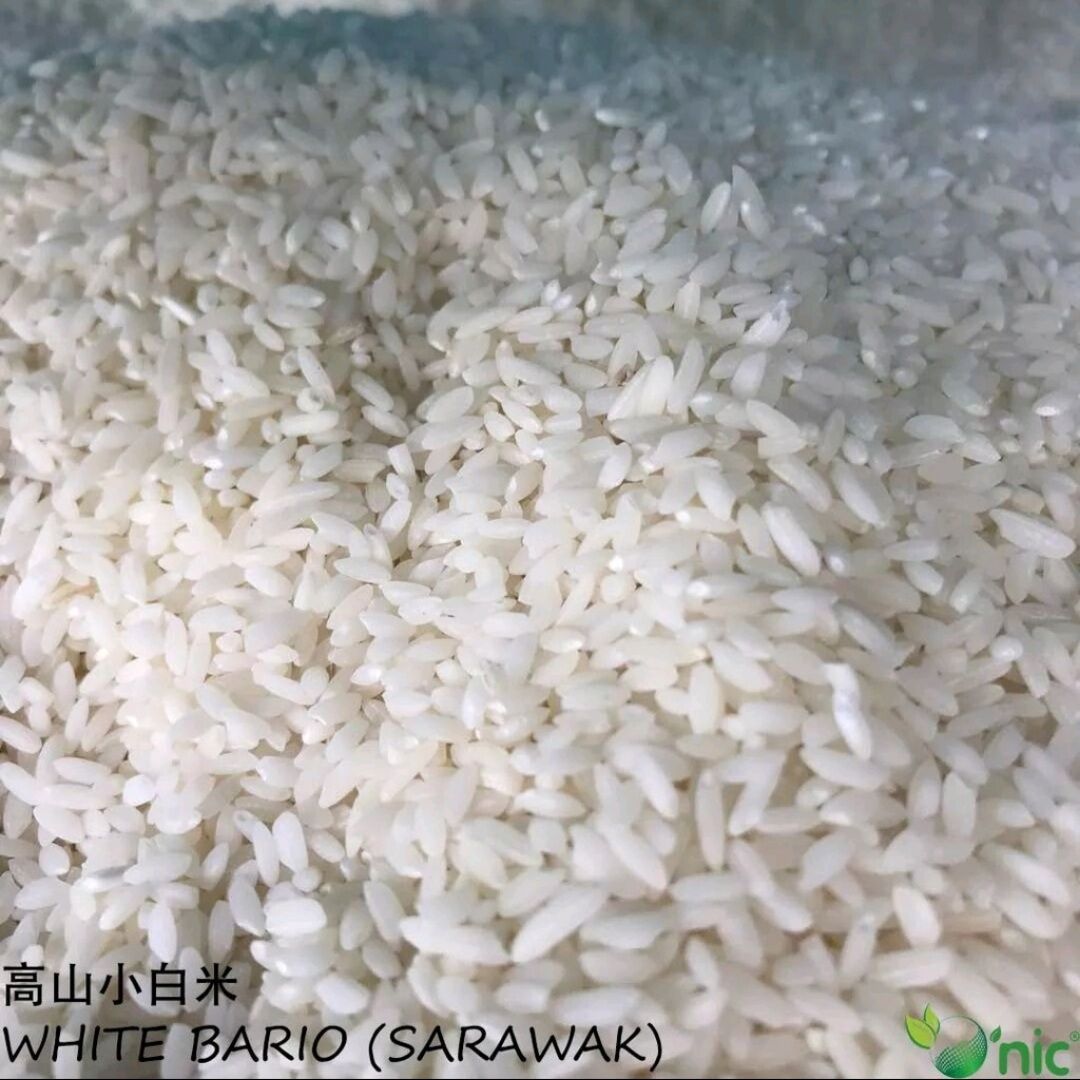 Sarawak Bario White Rice 砂拉越高山小白米 3KG | Lazada