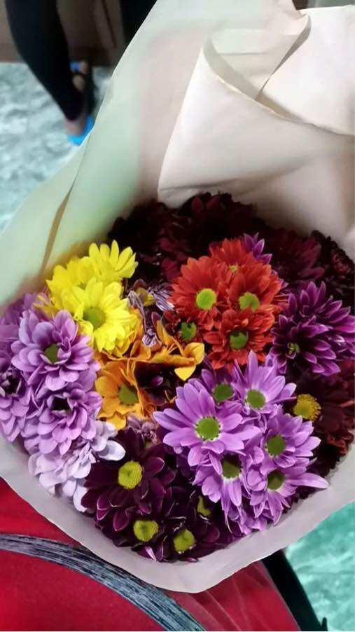 Bunga Segar dari Cameron Highland Satu Bundlenya Rainbow | Lazada