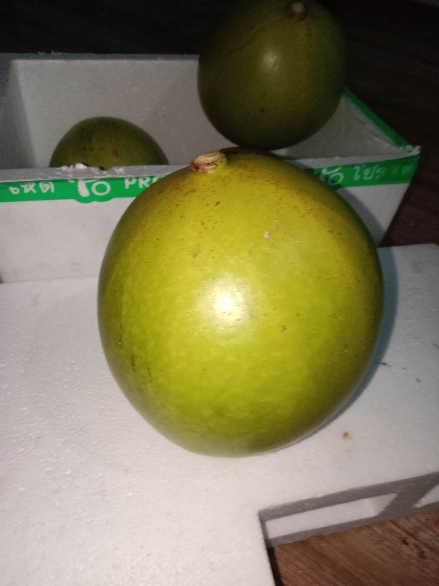 Buah Maja / Labu Kayu | Lazada