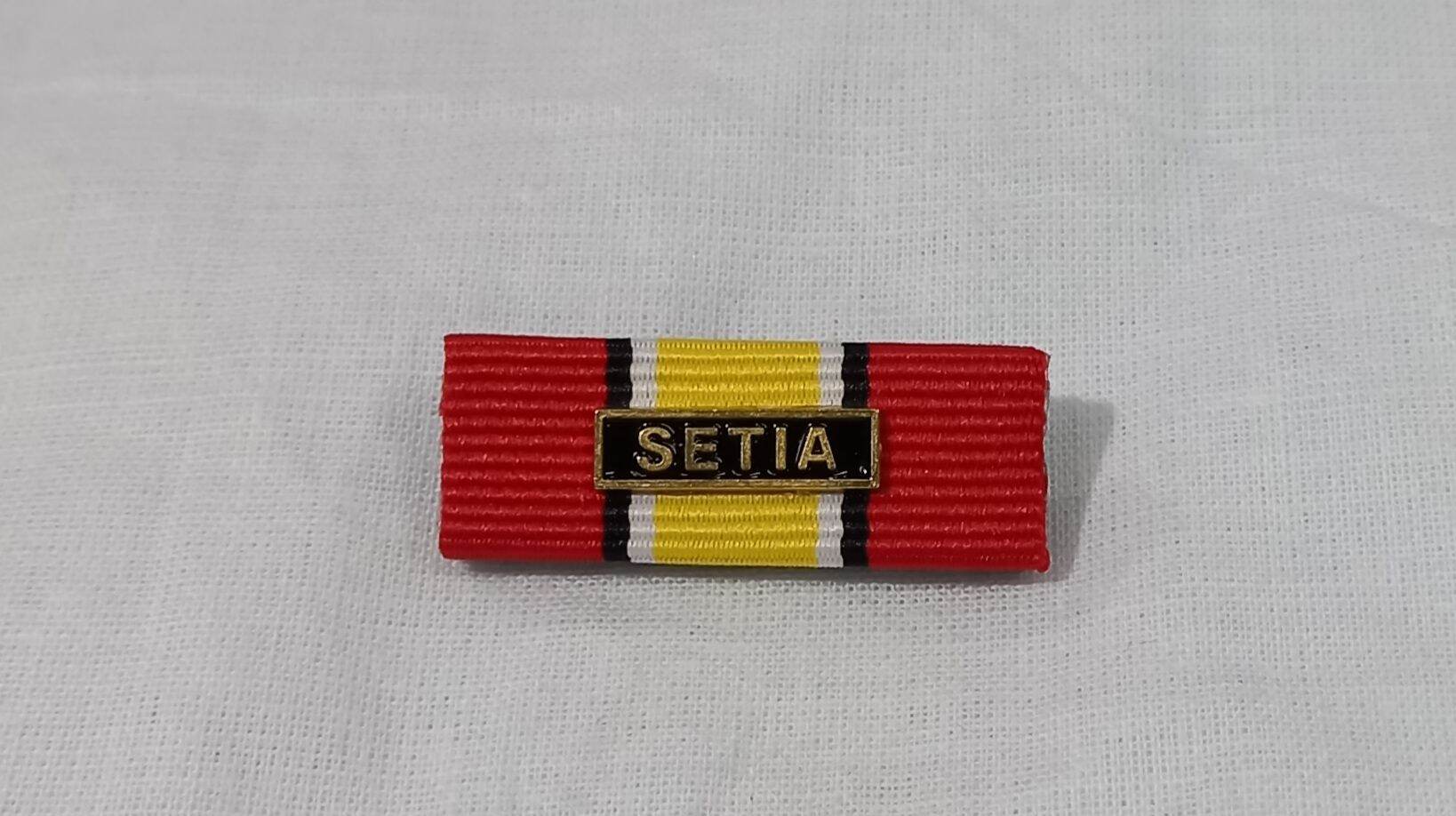 MEDAL PPA/MEDAL PPA WITH SETIA NO3 ASKAR/TENTERA | Lazada