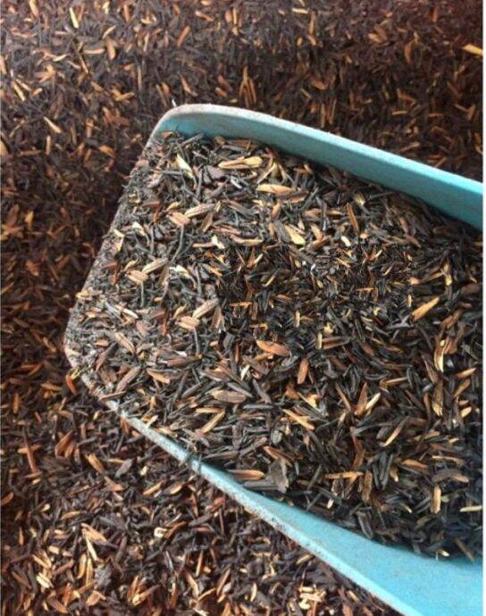 SEKAM PADI BAKAR KASAR 1KG | Lazada