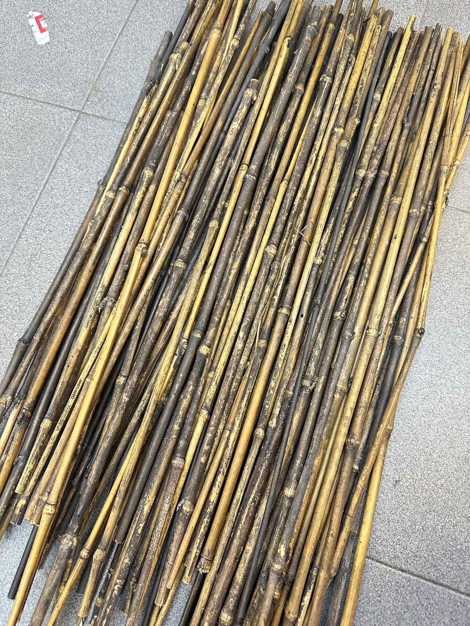 Ready stock +-57cm Bamboo Stick For Flower Arrangement / Buluh Orkid ...