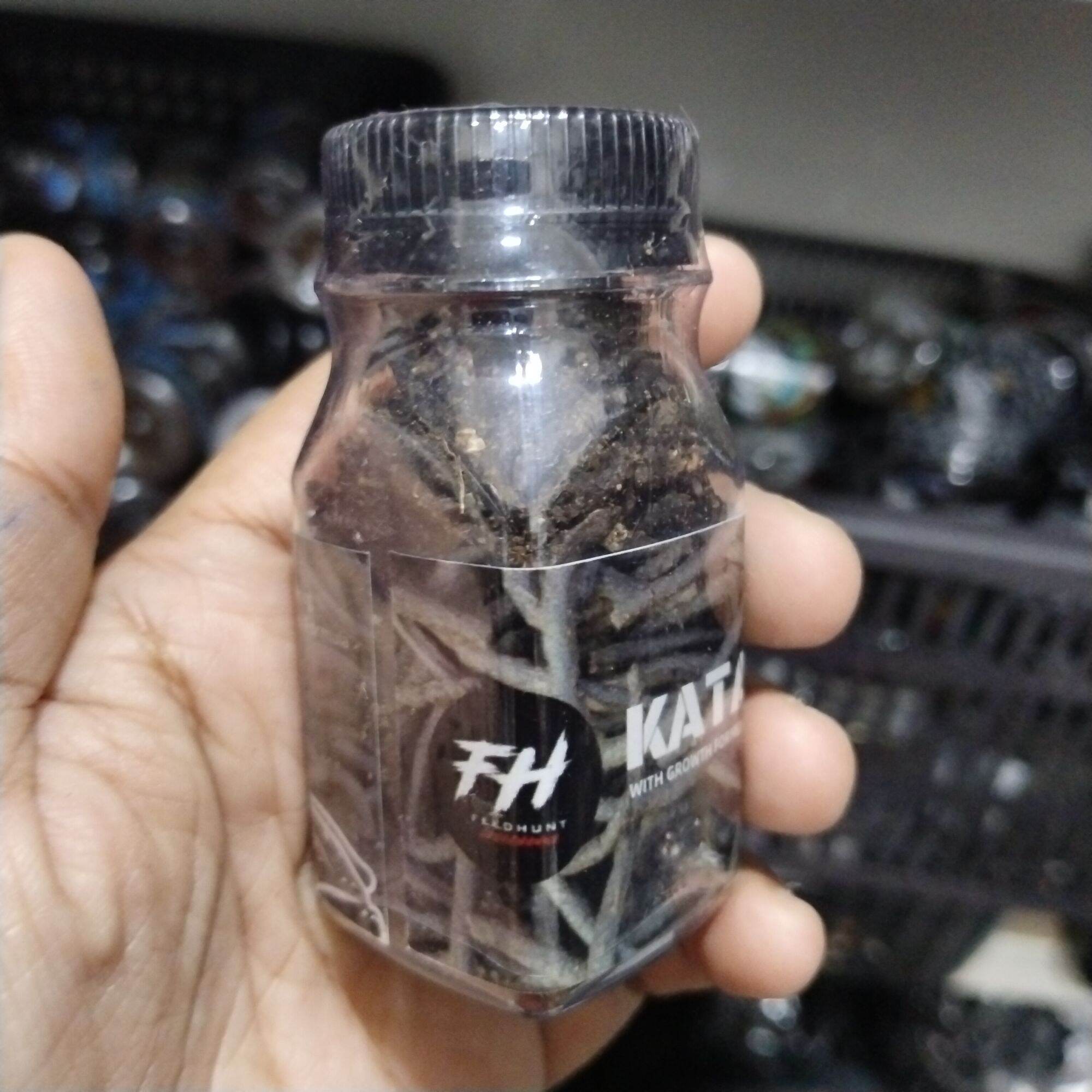 frog pellets/katak giling original gogochanna | Lazada