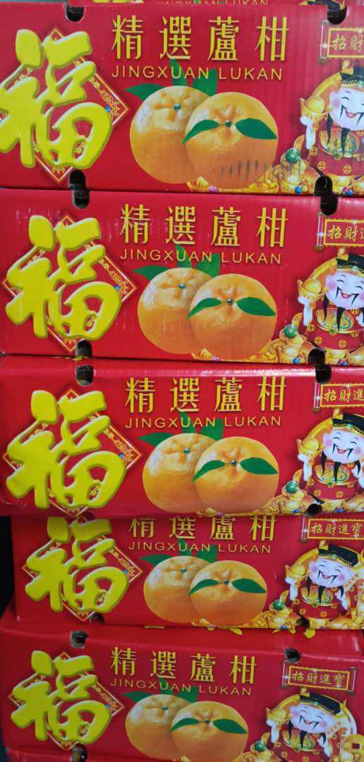 China Lokam Mandarin Orange 中国芦柑 (M-XL size) | Lazada