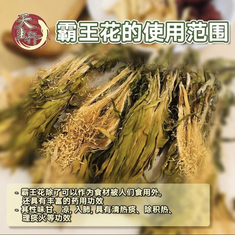 Sword Flower / Ba Wang Hua 霸王花 100gm | Lazada
