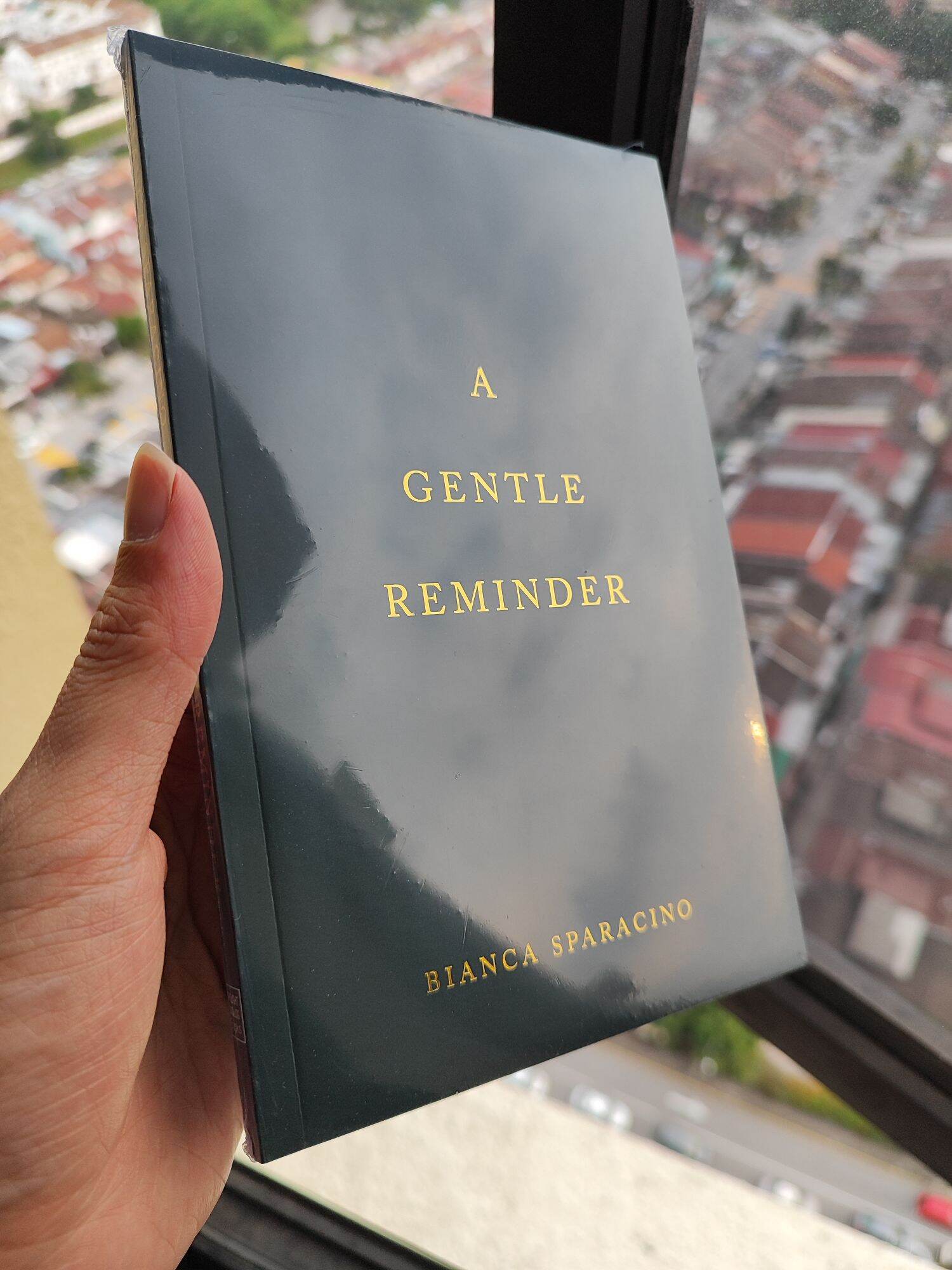 [Original] A Gentle Reminder by Bianca Sparacino | Lazada