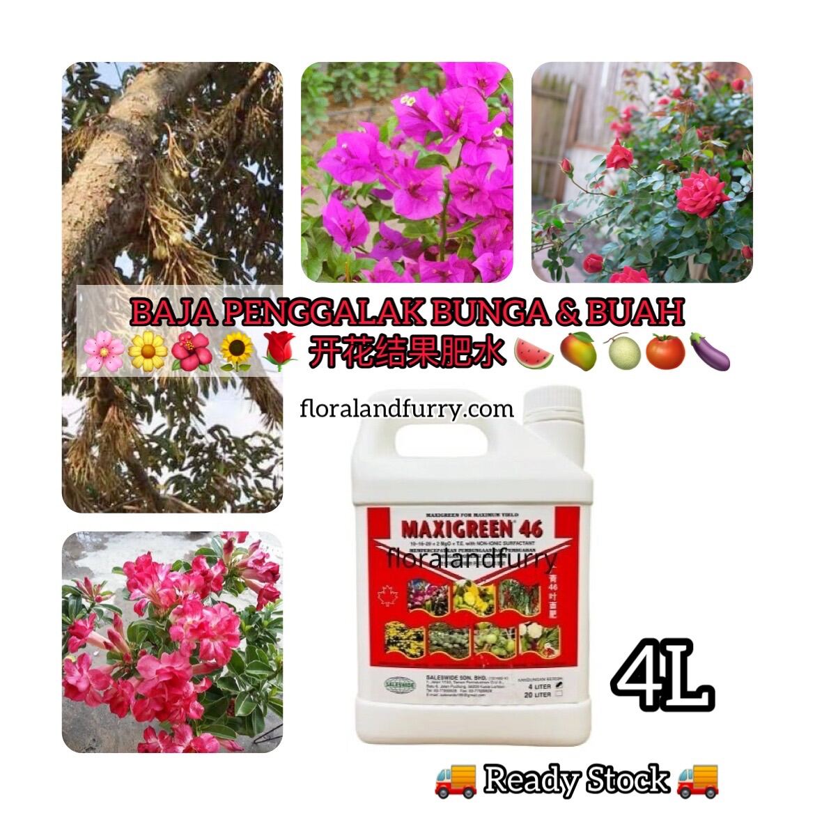 4L Baja Foliar Maxigreen Merah 46 Baja Bunga Dan Buah Terbaik Baja ...