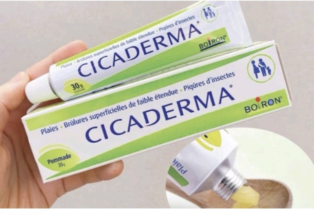 Import from Italy Boiron Cicaderma Pommade 30g | Lazada