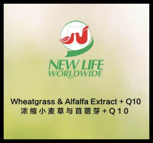 Shop online with New Life Worldwide 授权销售商 now! Visit New Life Worldwide ...