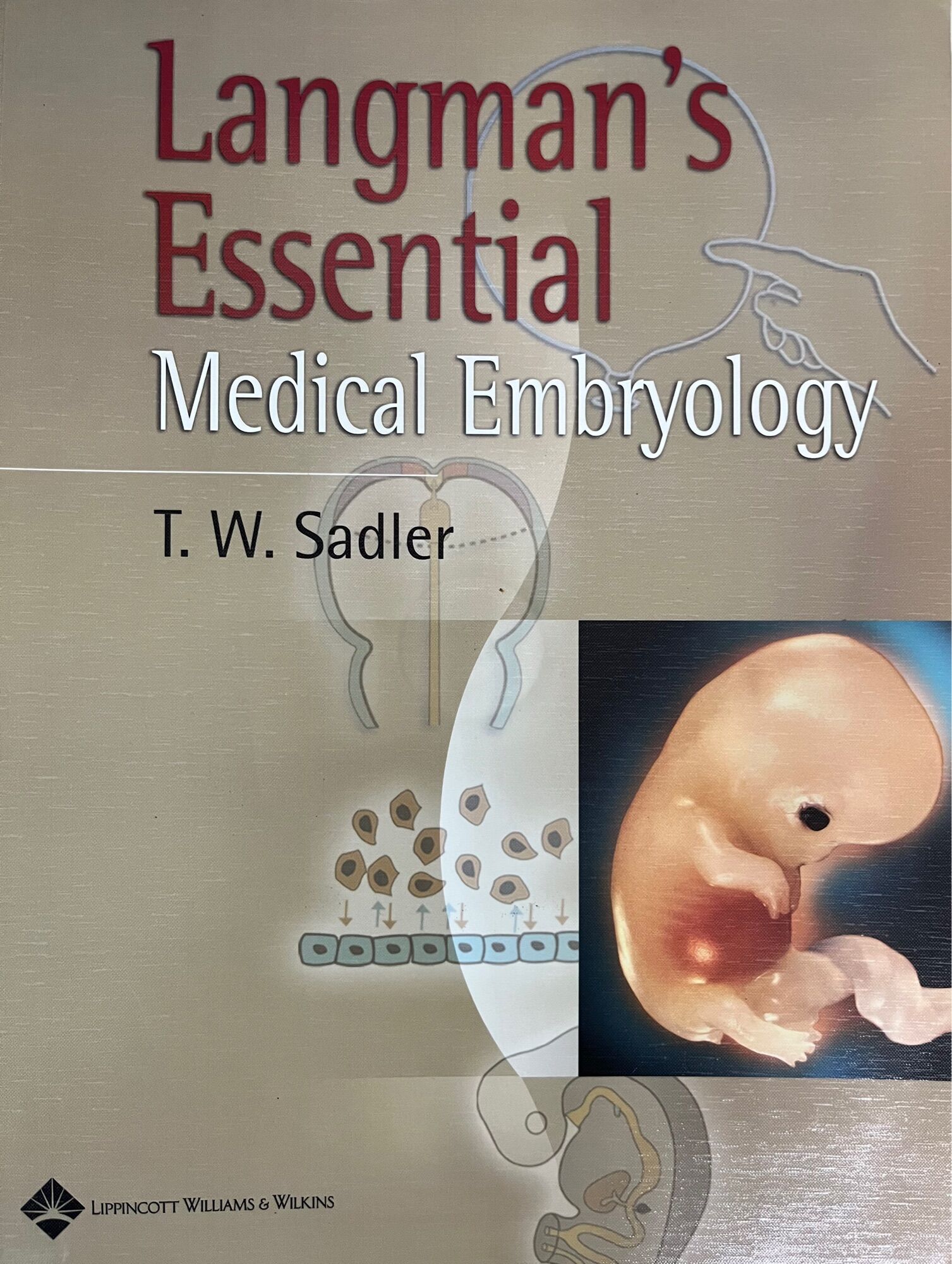 Langman’s Essential Medical Embryology | Lazada