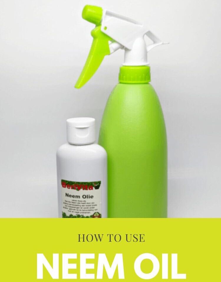 PATI NEEM OIL • Minyak Daun Semambu • Paling Berkesan Dalam Mengawal ...