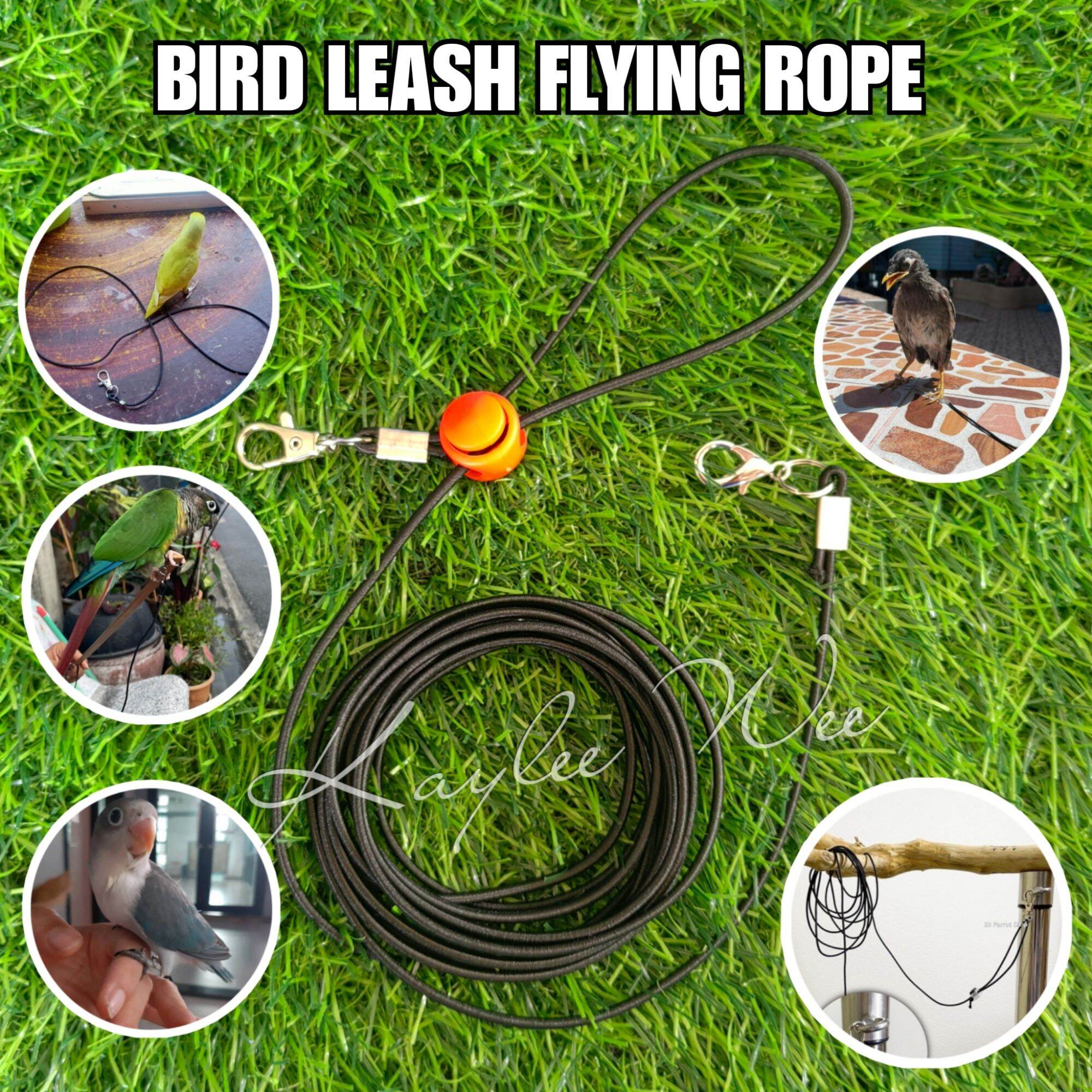 BIRD LEASH FLYING ROPE | Lazada