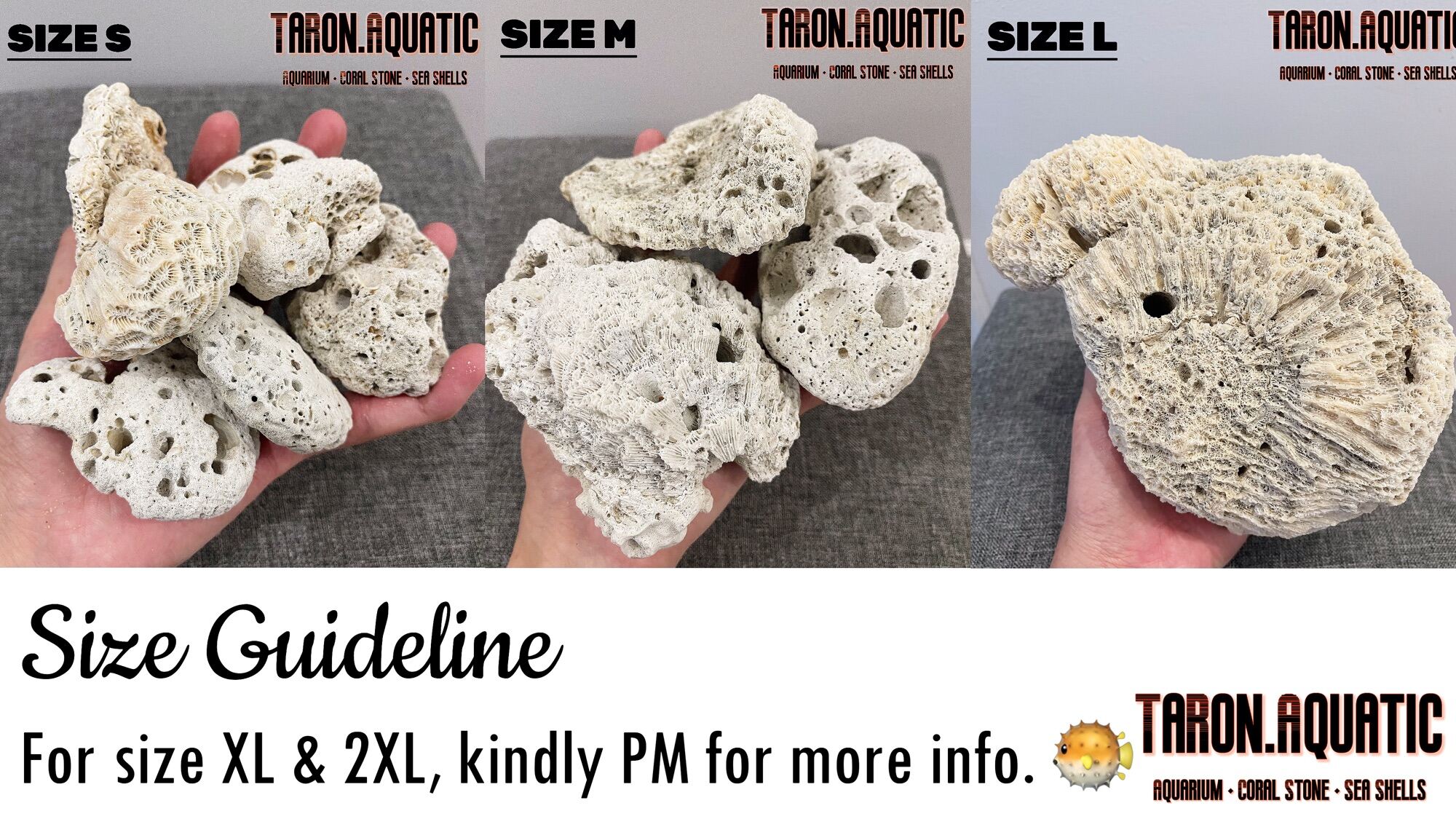 Coral Stone for Aquascaping - 珊瑚石 (Suitable for fresh and marine fish tank) Coral Rock 1kg | Lazada