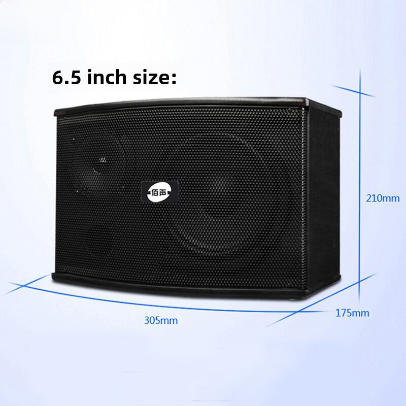 Professional HiFi Stage Sound System 10 Inch 12 Inch 15 Inch Home ...