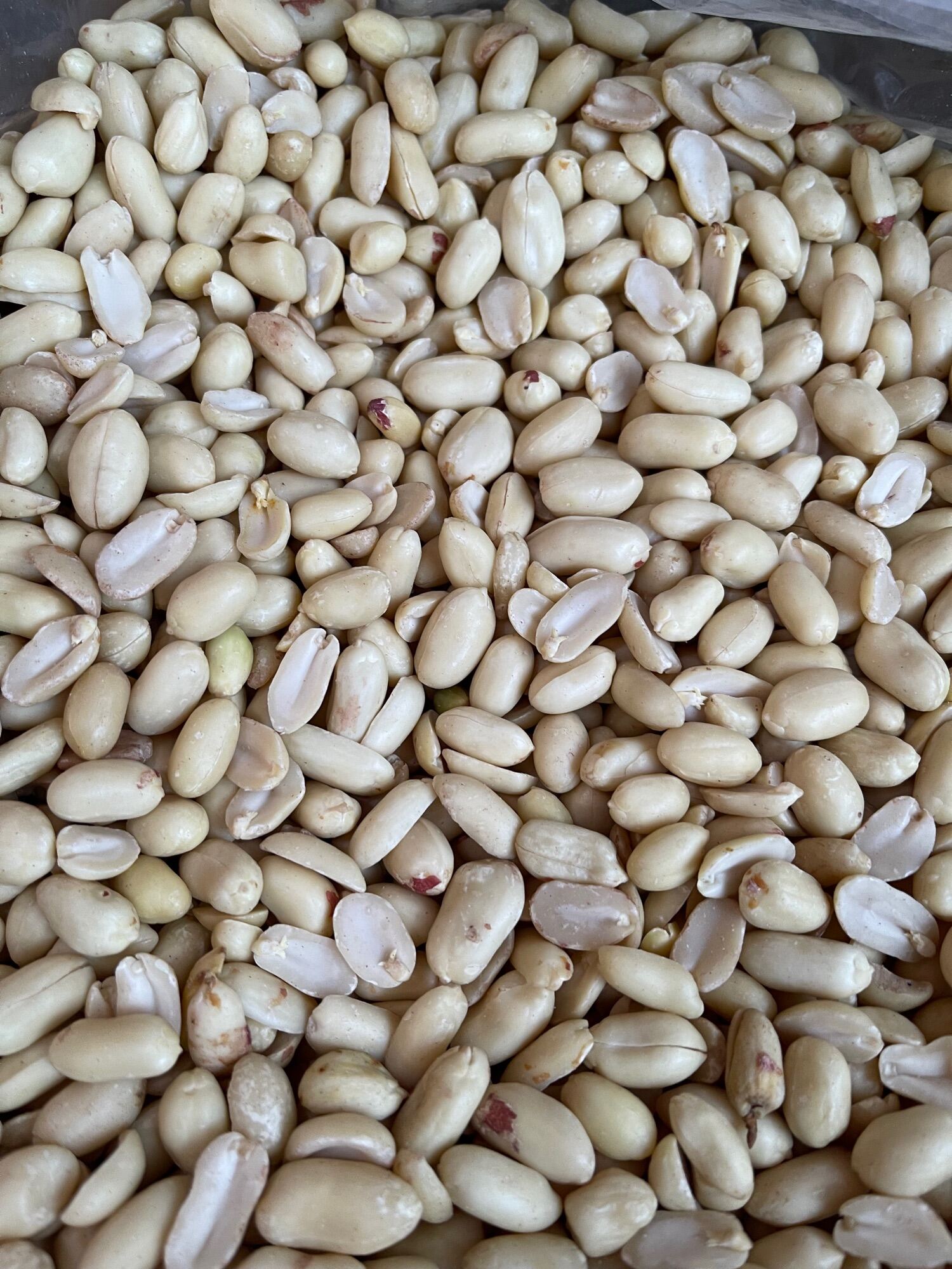 Peeled Shan Dong Peanut (Raw) 脱皮山东花生(生) Kacang Tanah Shan Dong (Mentah ...