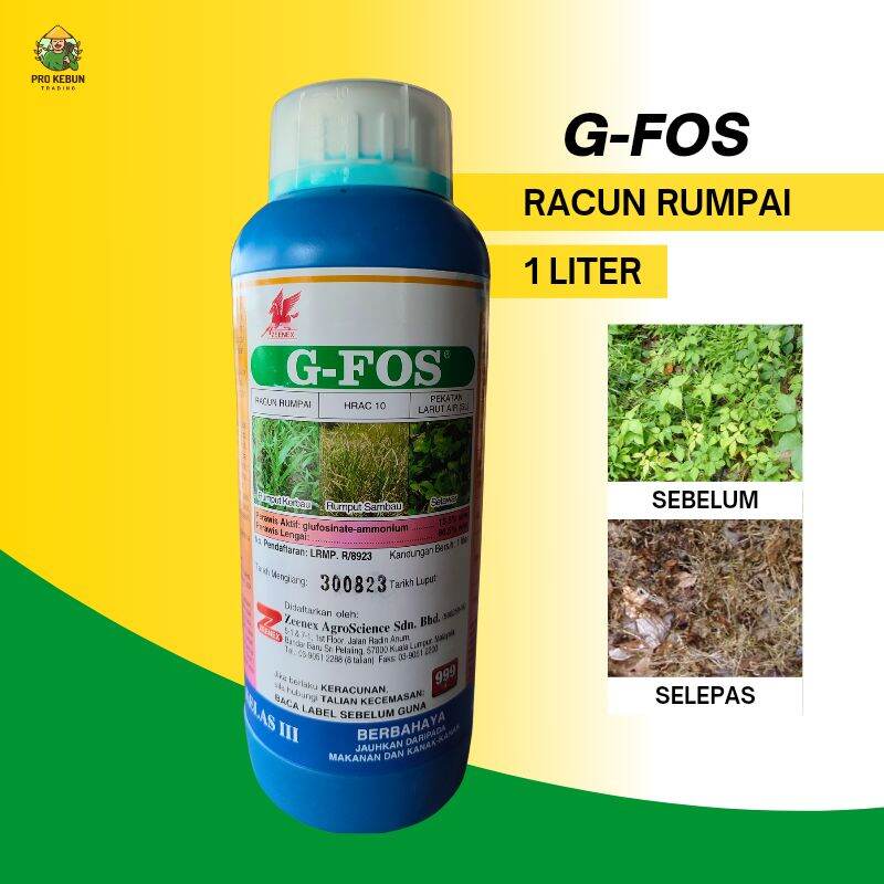 G-Fos Herbicide 1 Liter 4 Liter Racun Rumput G Fos Racun Rumput Kerbau ...