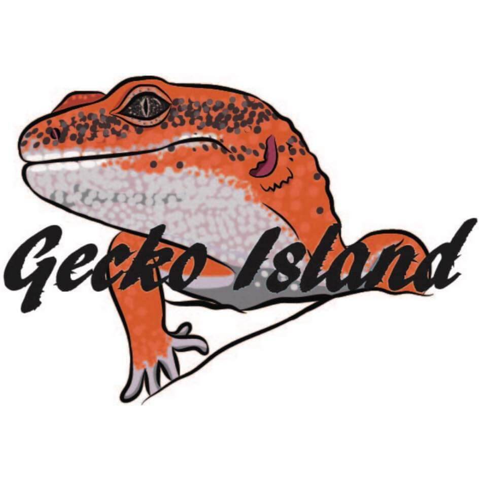 Gecko Island Exotic Pet Shop Malaysia Official Online Store | Shop Now ...