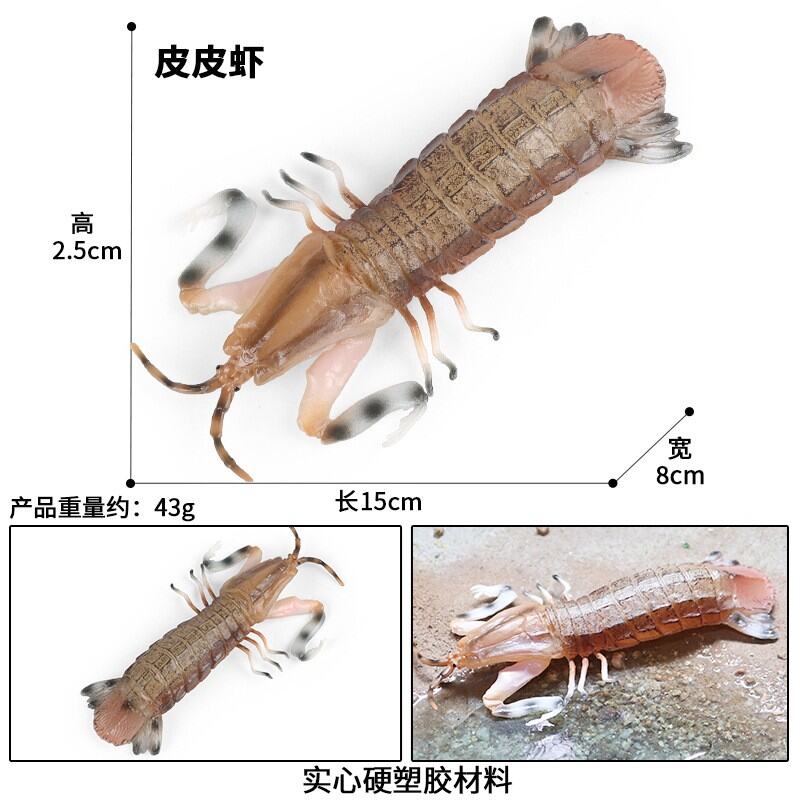 Artificial Solid Marine Animal Model Mantis Shrimp Shrimp Slipper ...