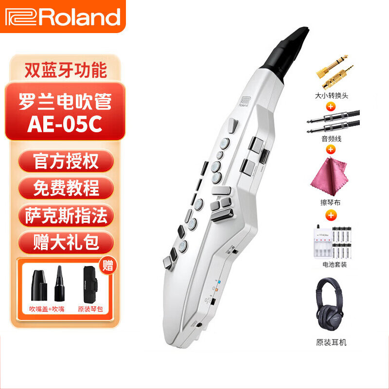 Roland AE-01 Electronic Saxophone New Model Beginner Adult Instrument ...