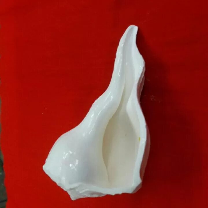 Valampuri Sangu Shell Shankh 17cm Sanggu | Lazada