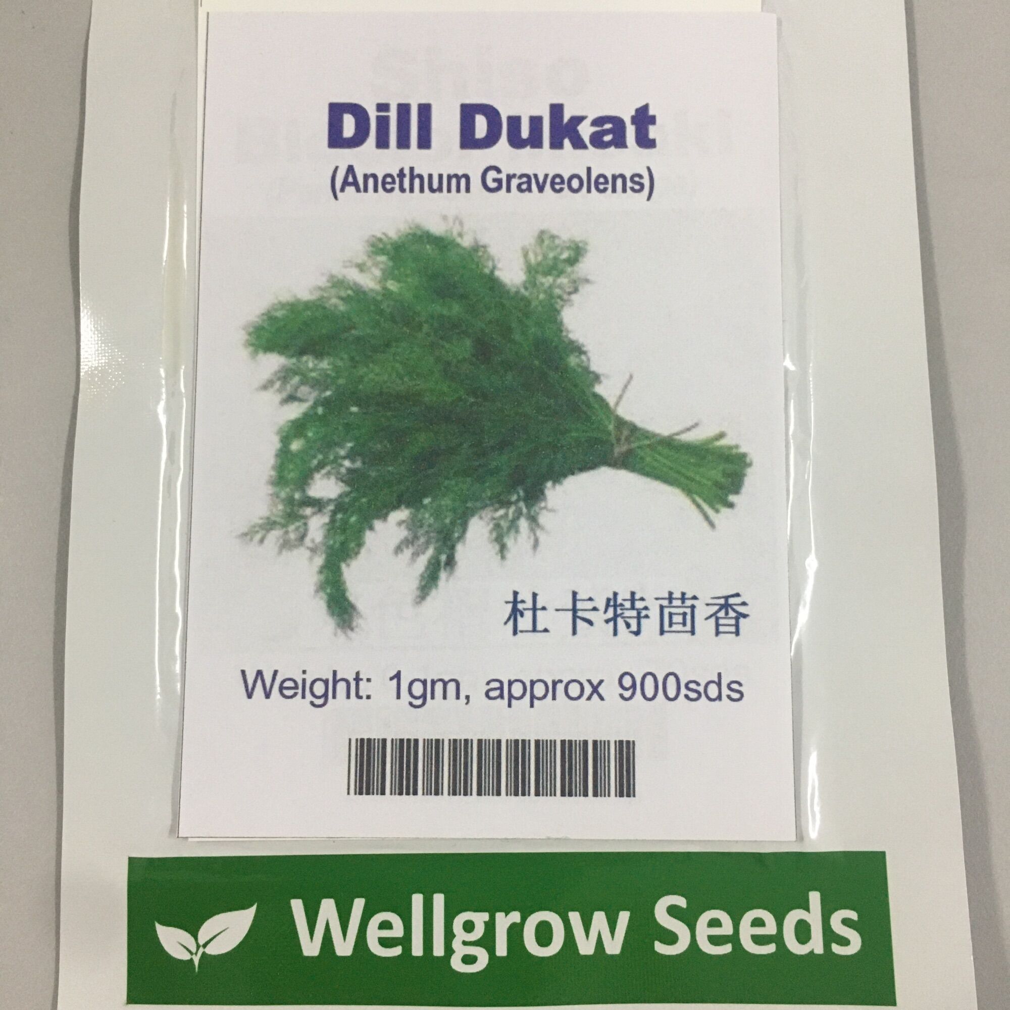 🔥 Dill Dukat Seeds (1gm, approx 900 sds) 杜卡特茴香 Daun Dill Herb Seeds ...