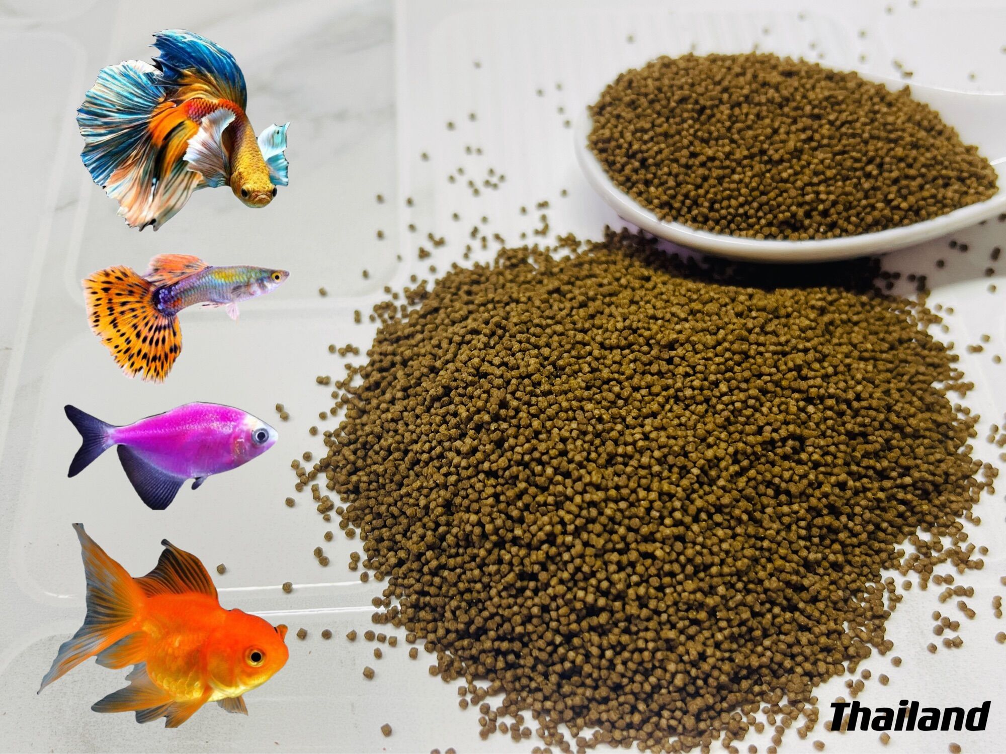 pallet guppy/fish food/Makanan ikan Guppy betta 孔雀鱼 打架鱼 饲料 | Lazada