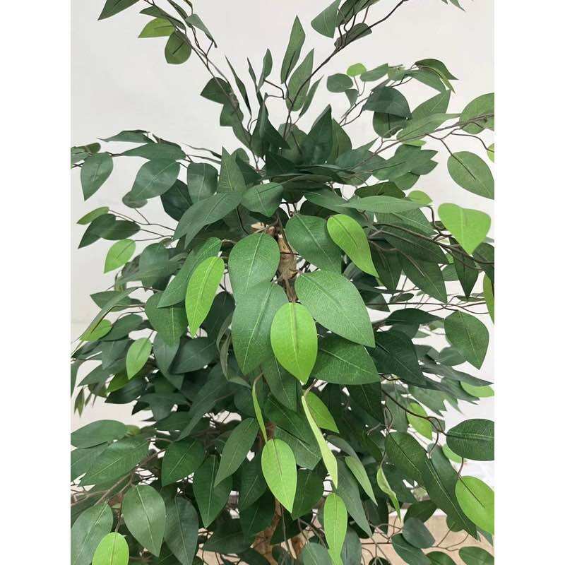 Artificial Ficus Banyan Tree (2 layer)Variegated Leaves Fejka Weeping ...
