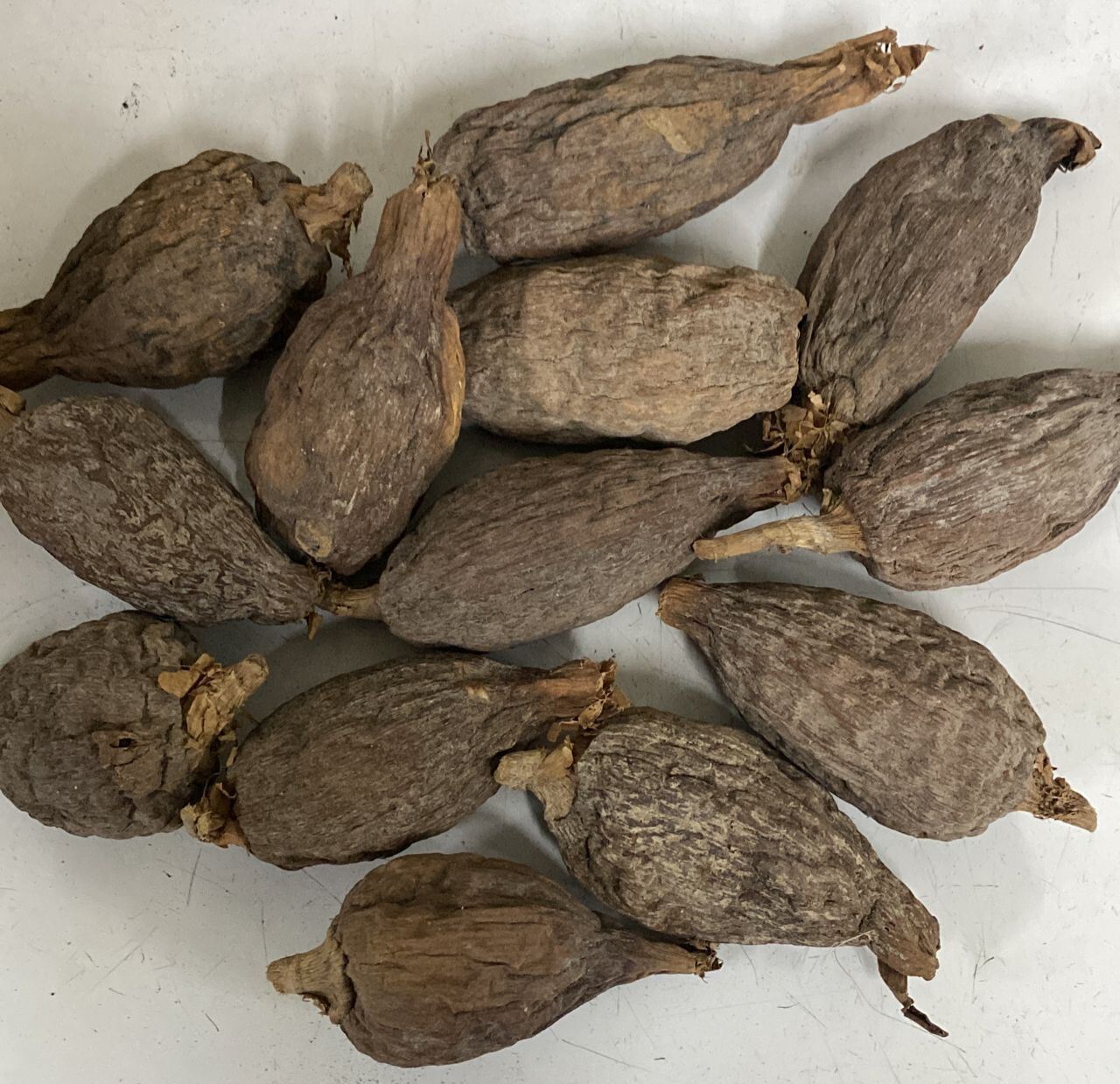 Alligator Pepper /Ataare / ósè ọ́jị́ (Imported from 🇳🇬) | Lazada