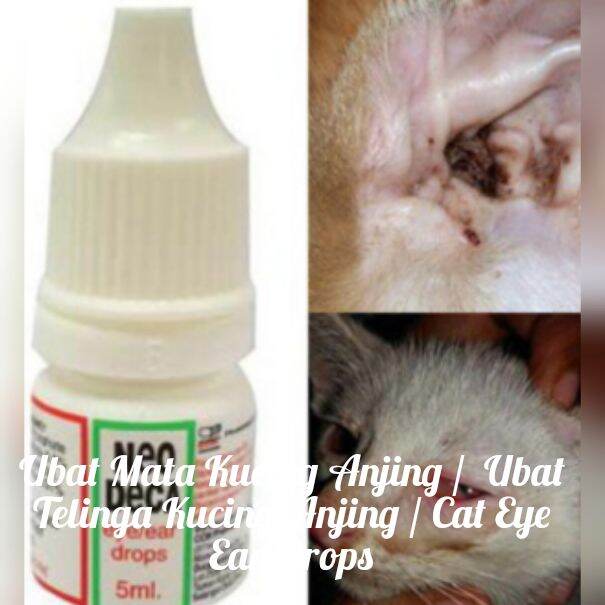 UBAT CUCI TELINGA SAKIT TELINGA & SAKIT MATA | Lazada