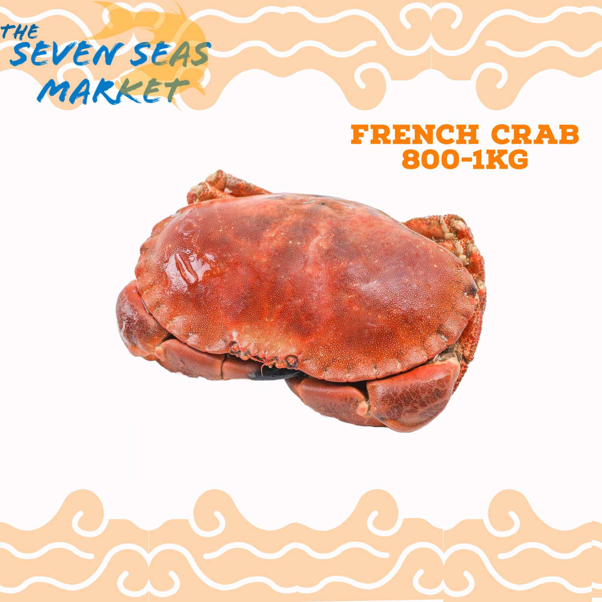 FRENCH CRAB 麵包蟹 800-1KG | Lazada