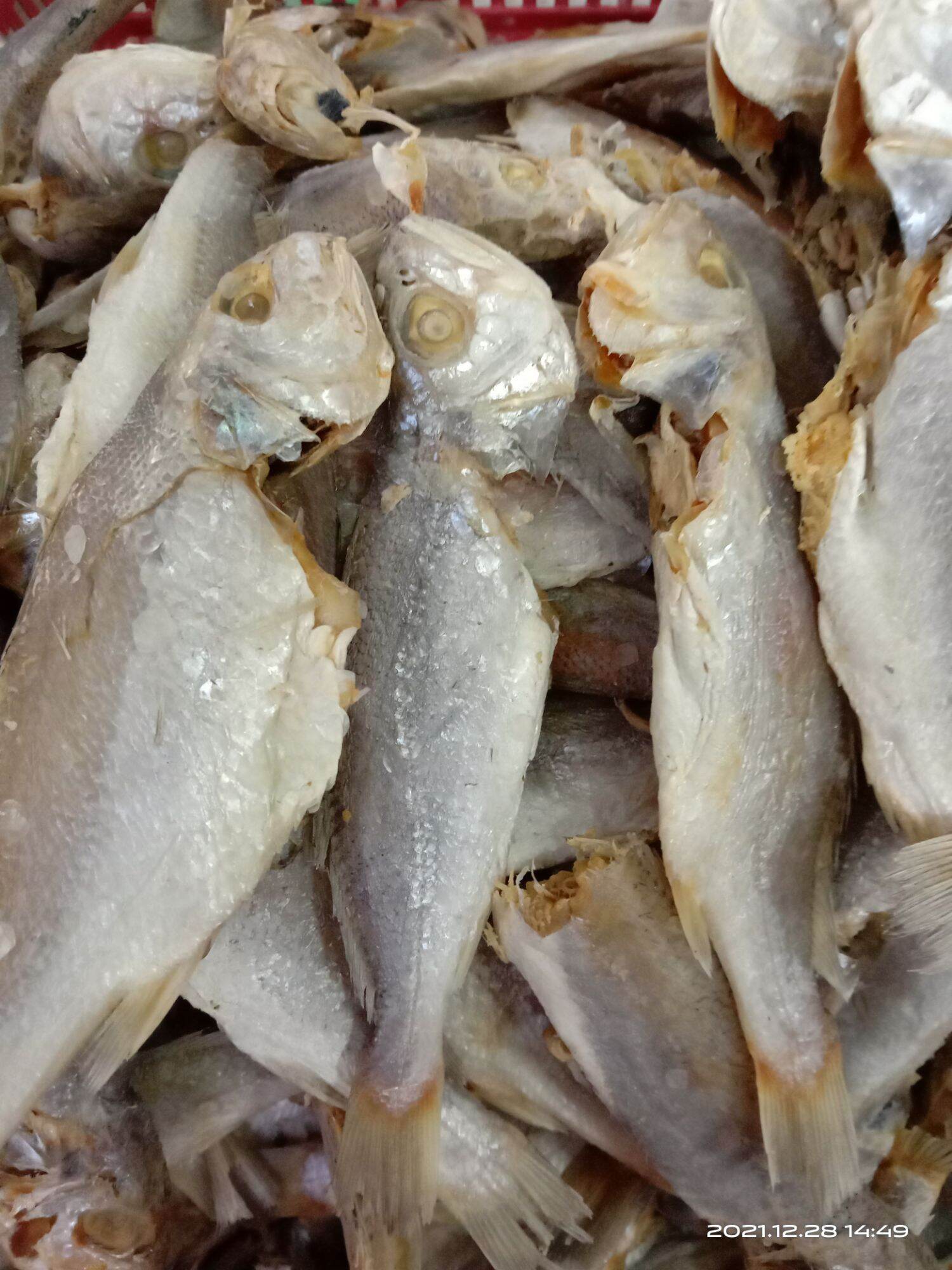 IKAN MASIN GELAMA IKAN KERING 200GM | Lazada