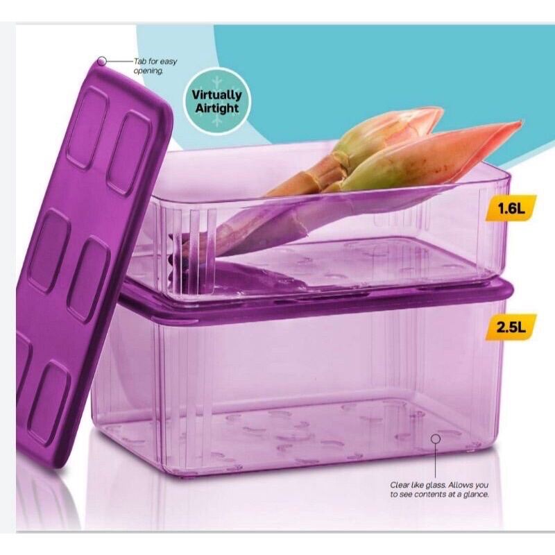 Tupperware Fresh n' Clear Large Set（2pcs） | Lazada