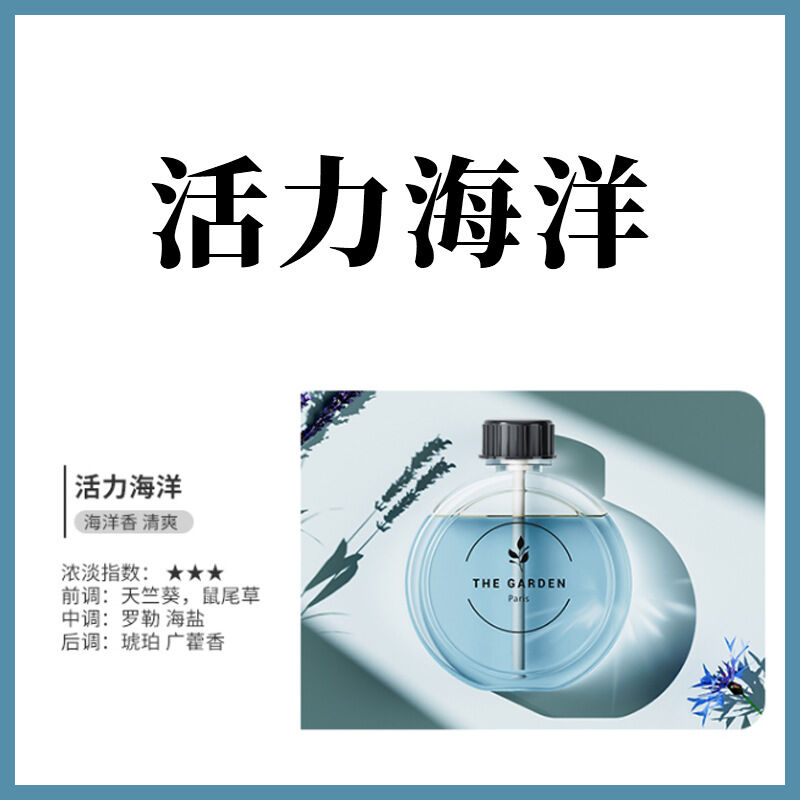 Intelligent Timing Rechargeable Automatic Spray Aroma Diffuser For Home ...