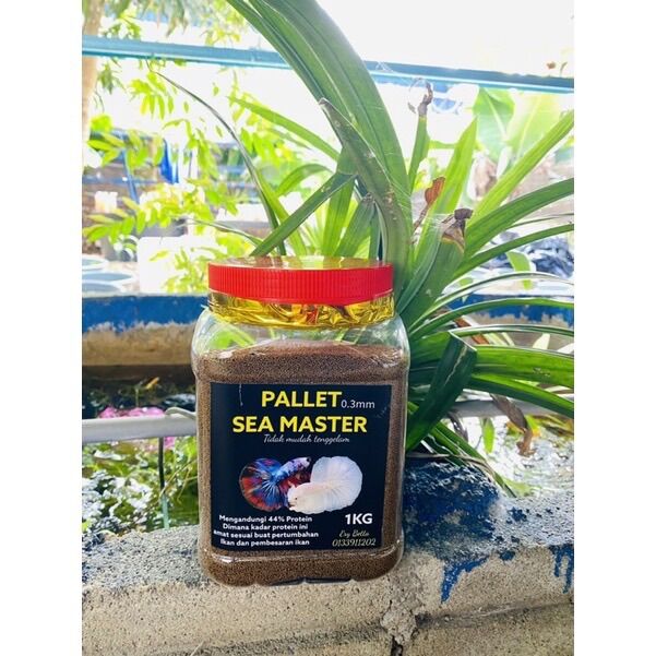 PALLET SEA MASTER 0.3mm kualiti pallet 1kg | Lazada