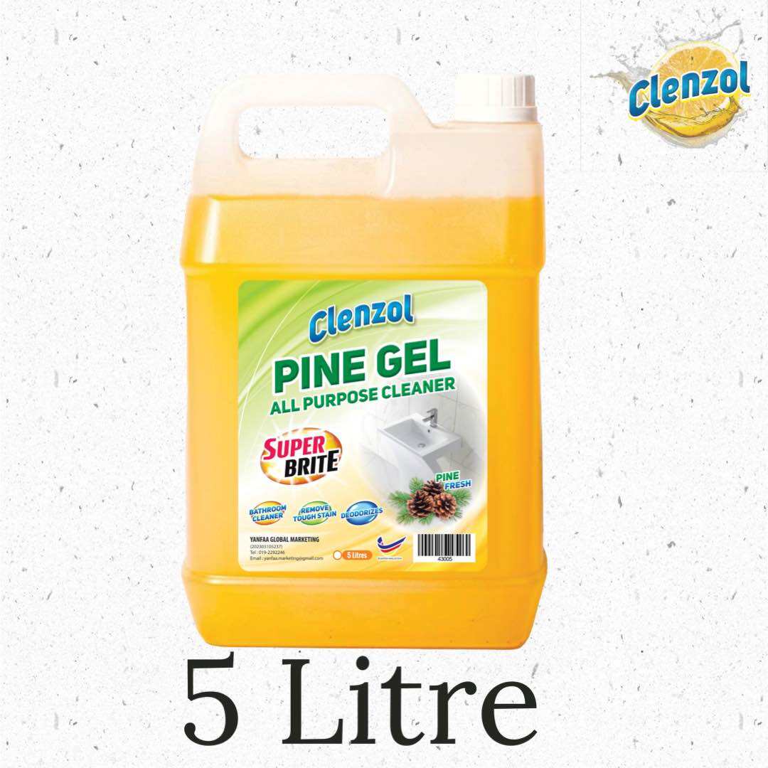Pine disinfectant 5L (gel) / Hospital Grade / Toilet Cleaner /anti ...