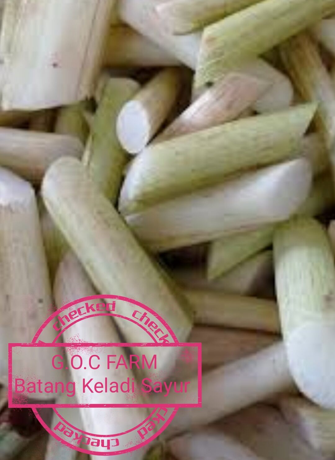 Sayur Batang Keladi(100gm) | Lazada
