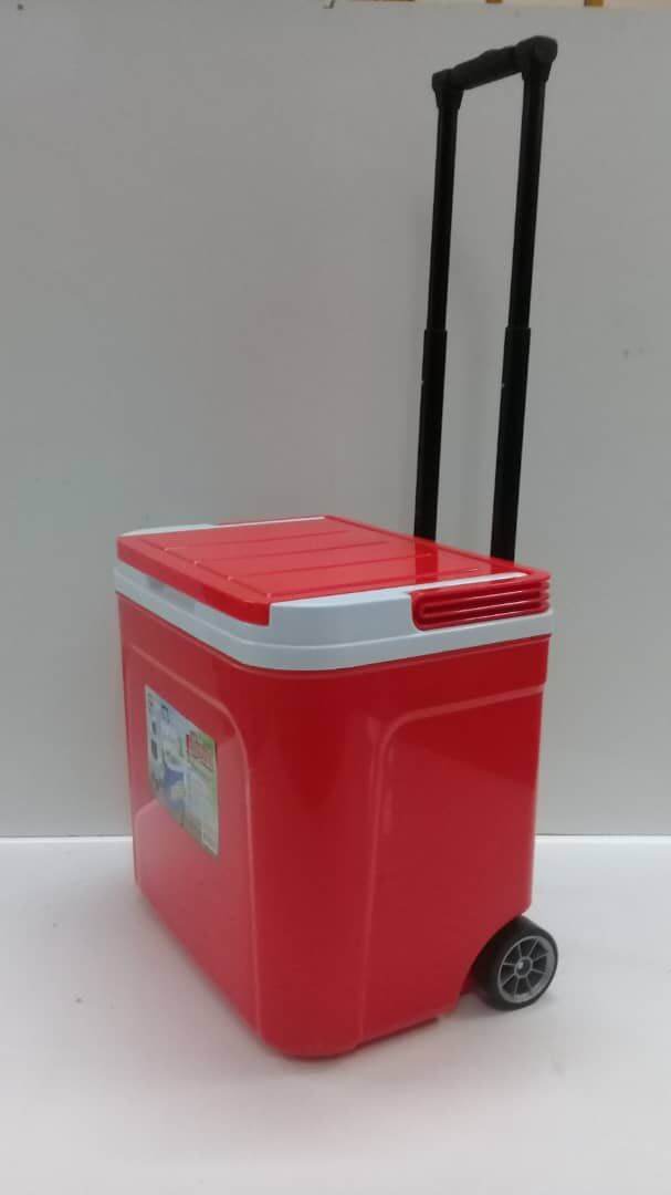 ‼️NEW ARRIVAL‼️Cooler box DENKI BERODA 30 LITER | Lazada