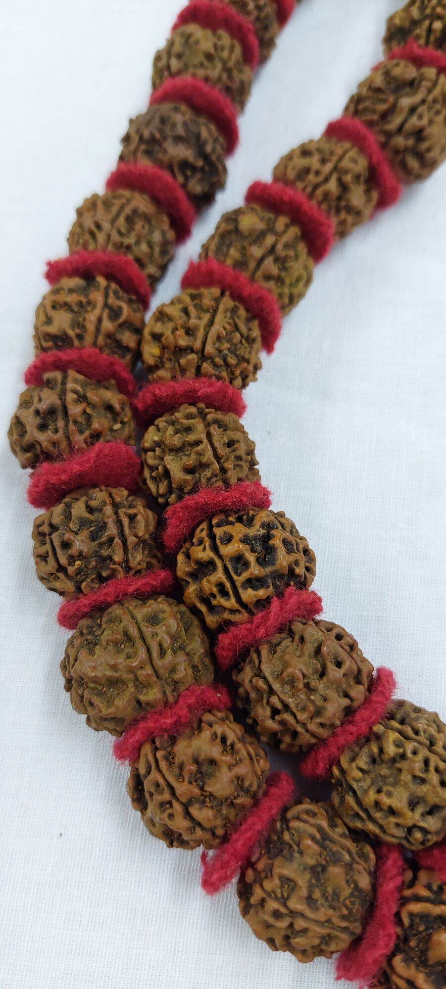 Original Rudraksha Mala 5 Mukhi from Nepal Big Size Malai | Lazada