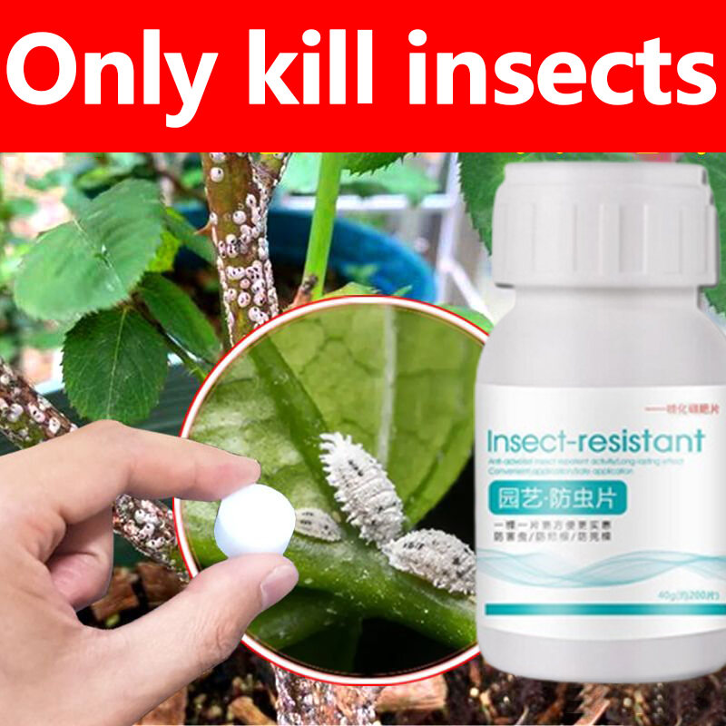 Kill all the pests！！WB racun serangga tanaman pesticides for plants ...