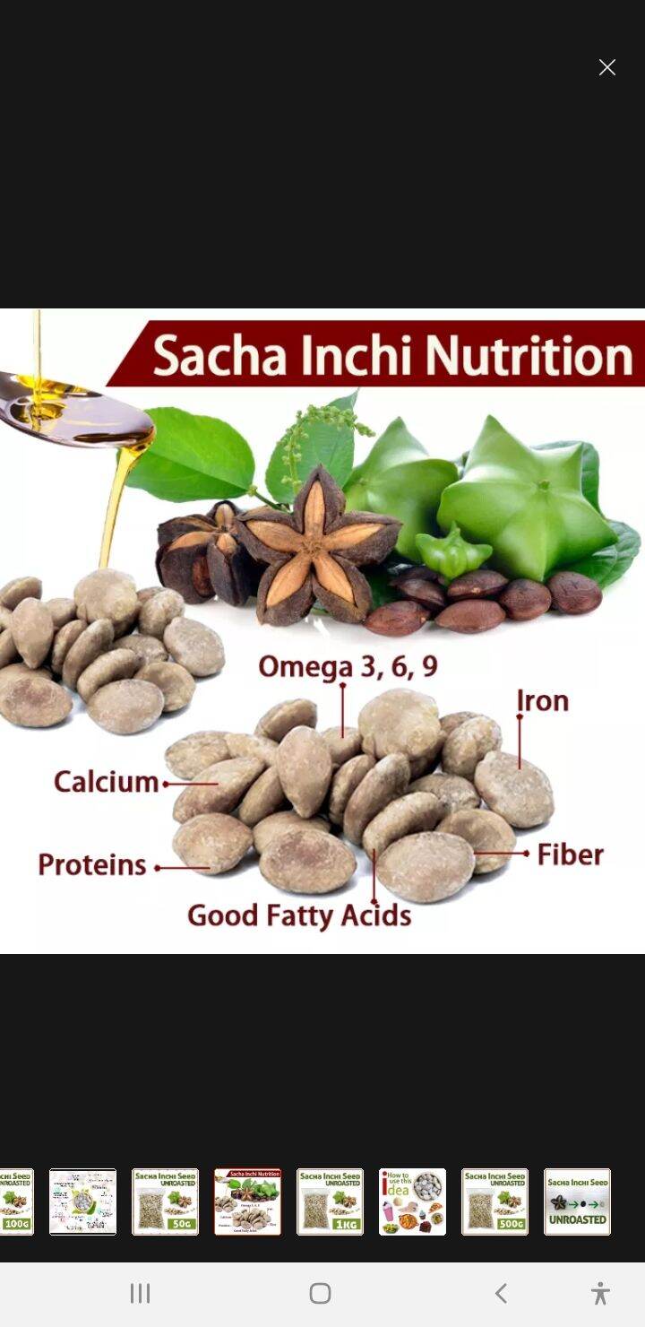 kacang sacha inchi | Lazada