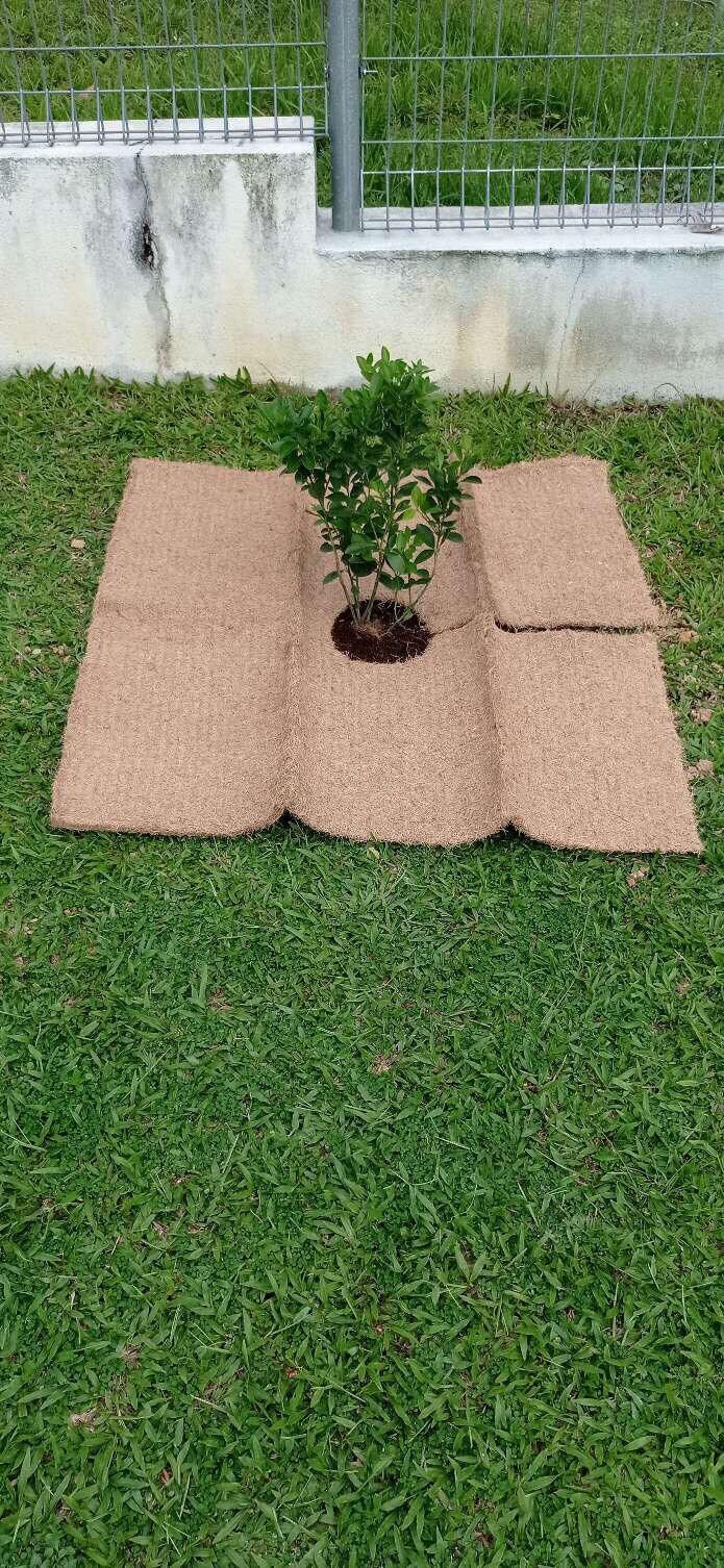 Palm Fibre Weed Mat 1m x 1m x 3cm thickness | Lazada