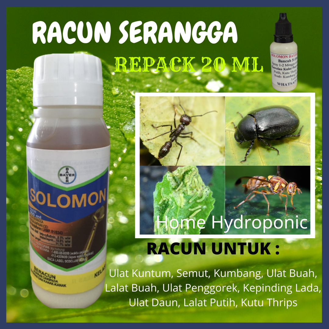 RACUN SERANGGA PEROSAK - BAYER SOLOMON | Lazada