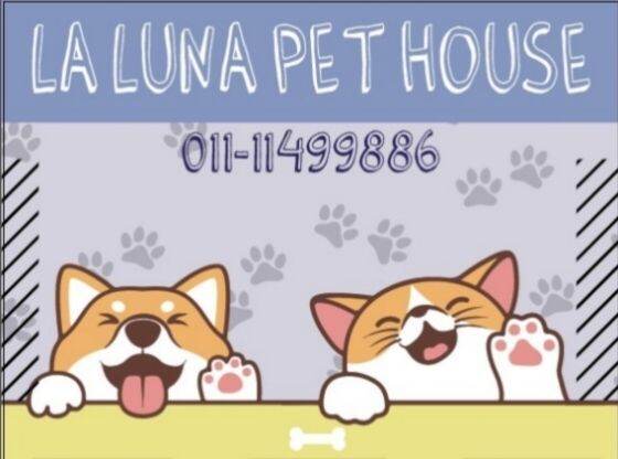 Shop online with La Luna Pet House now! Visit La Luna Pet House on Lazada.