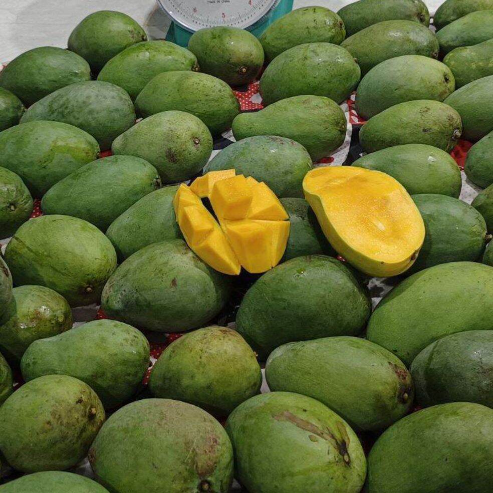 HARUMANIS PERLIS - Buah Pokok Sendiri di Bukit Bintang Batu Pahat ...