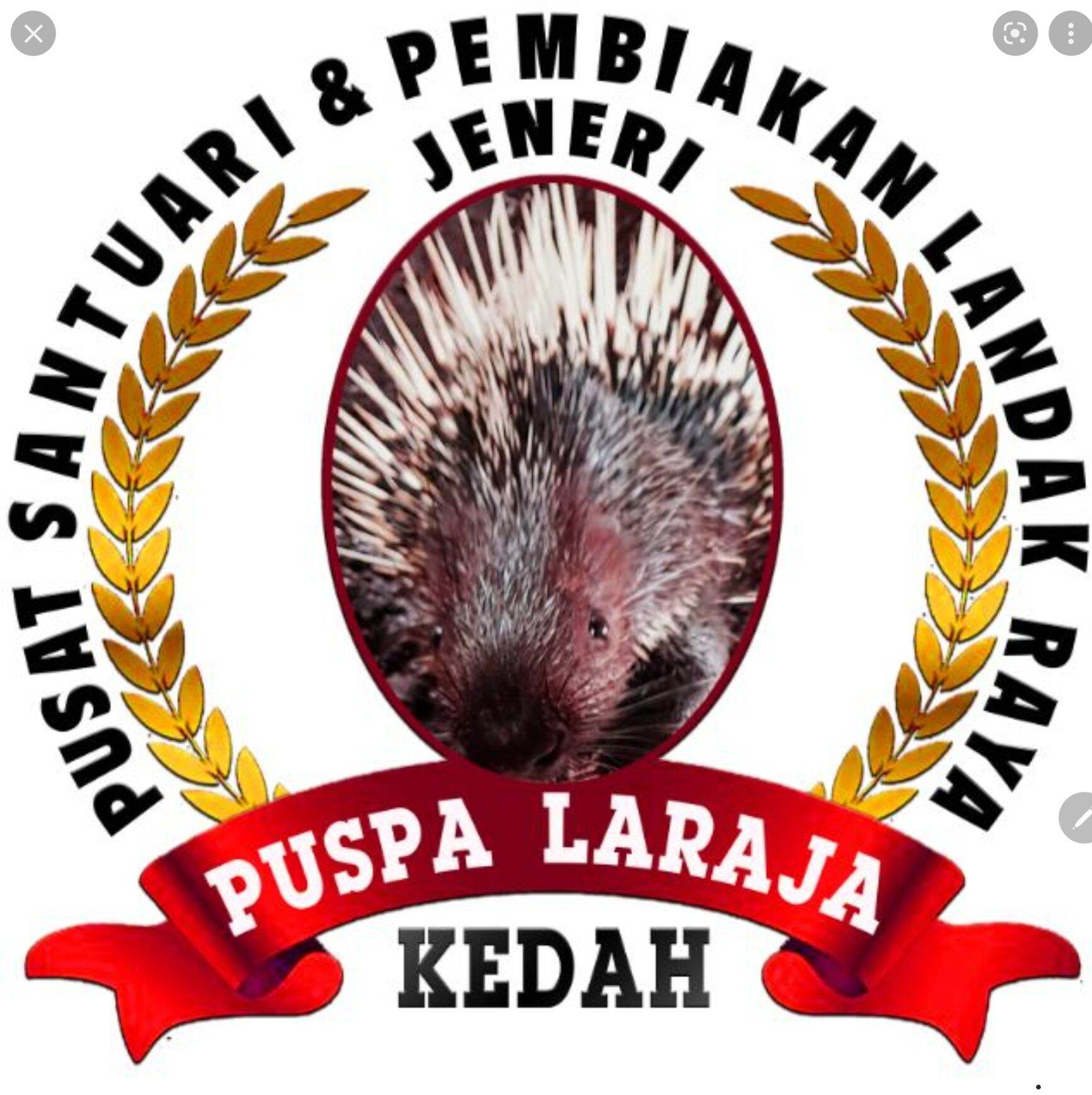 DUNIA LANDAK RAYA Official Store in Malaysia, Online Shop 05 2025