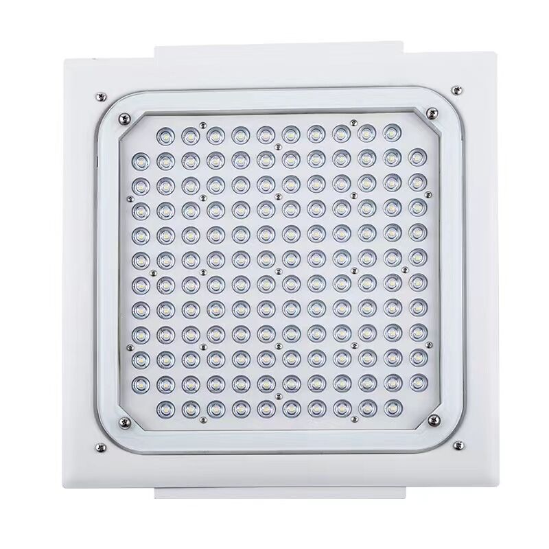 LED Explosion-Proof Lamp Gas Station Canopy Light Embedded Sinopec ...