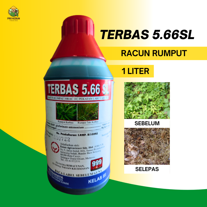 Terbas 5.66SL Racun Rumput Jenis Sentuh Contact Herbicide Racun ...